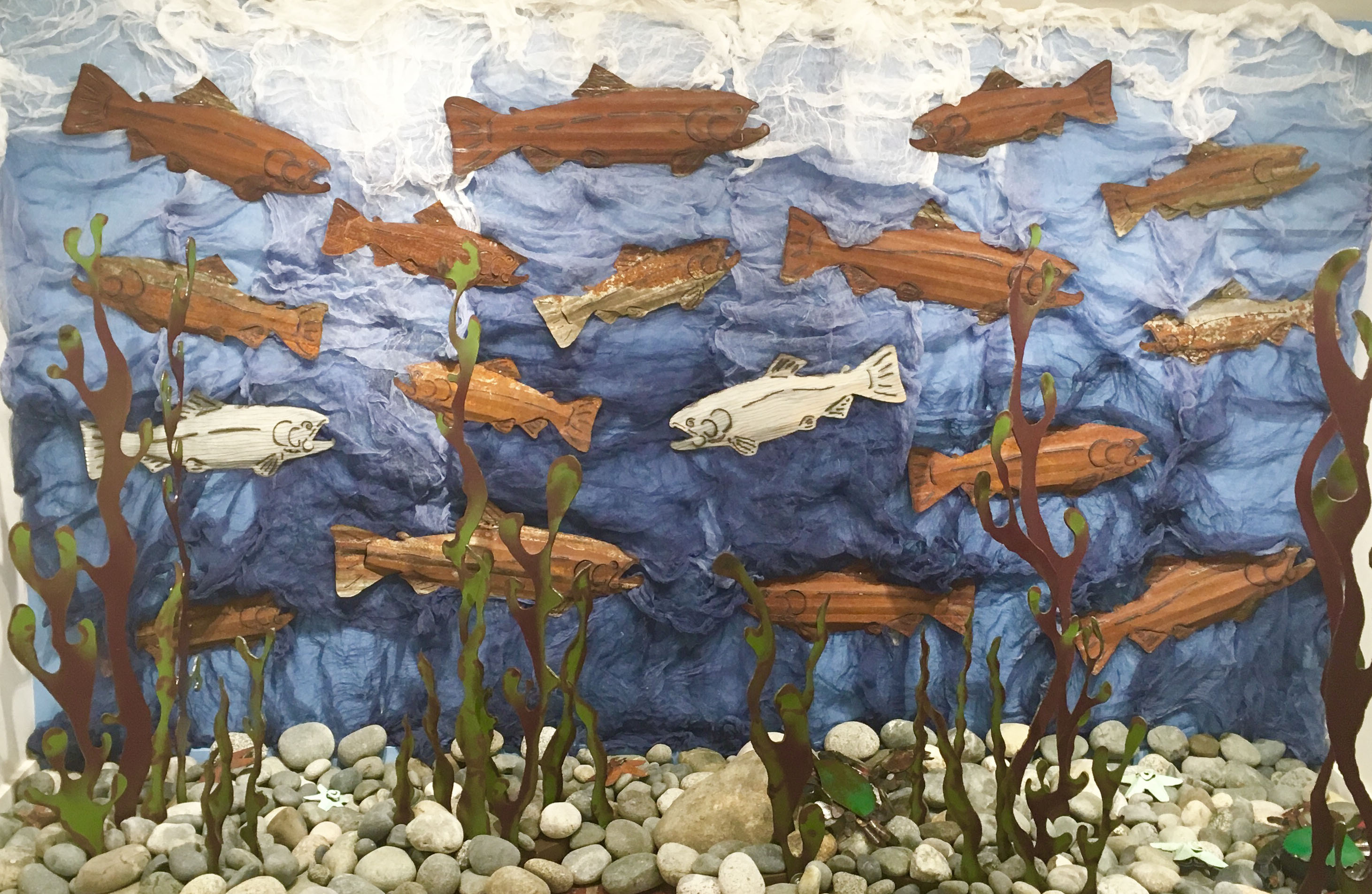 Salmon Exhibit Swims into Sooke on Vancouver Island - Uninterrupted: A ...